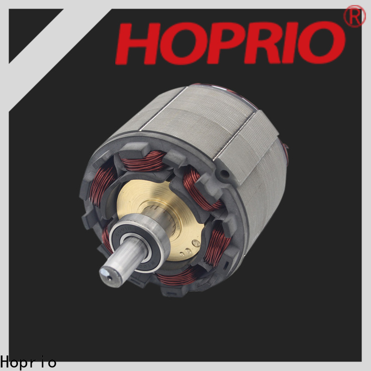 high speed bldc motor for electric vehicles | Hoprio